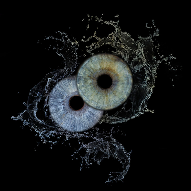 ARTISTIC IRIS PHOTOGRAPHY IN THE WOODLANDS,HOUSTON TX. UNIQUE-TASTEFUL ...